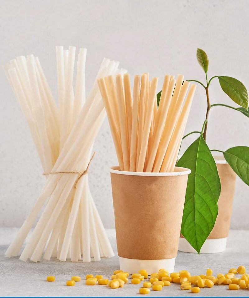 Nosotros – Envases biodegradables